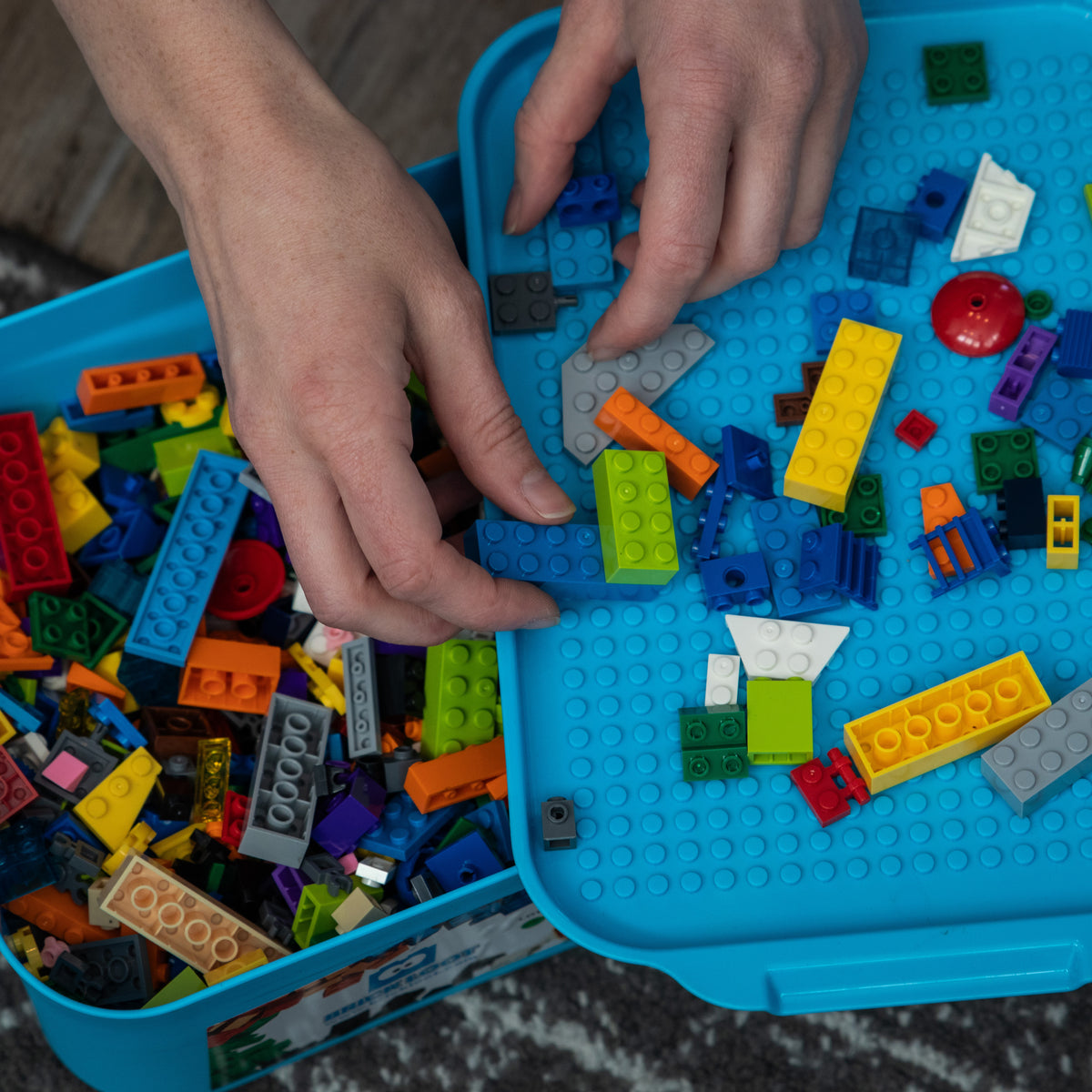 1,000 Bricks with Storage Bin | Brick Loot